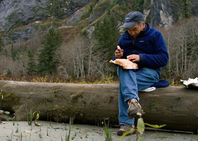 Cedar Tree of Life, Faces in the Land with Dempsey Bob, Haida Modern ...