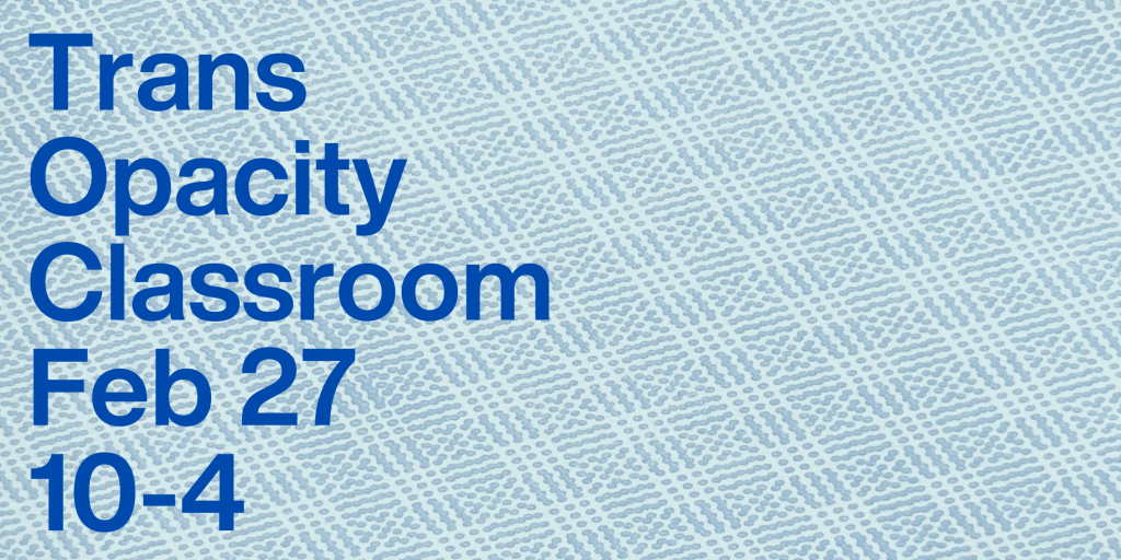 Trans Opacity Classroom – Libby Leshgold